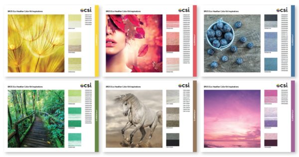 CSI and BROS - Color Solutions International