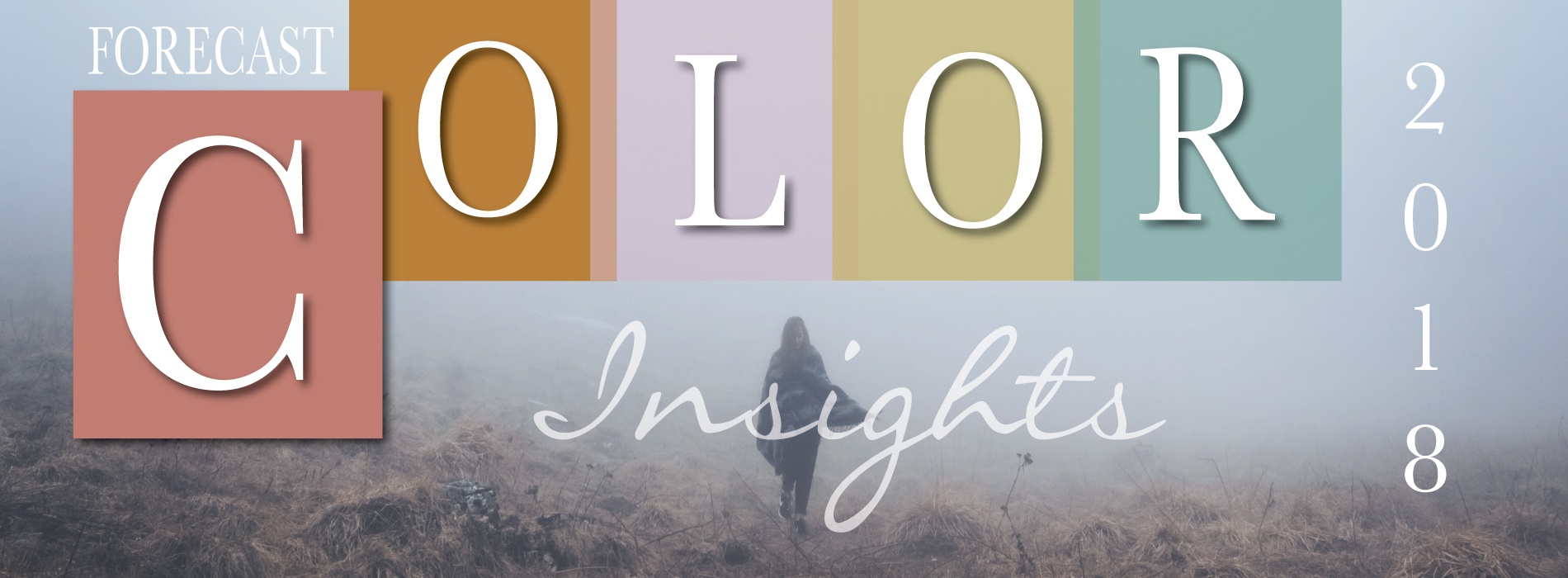 Home - Color Solutions International